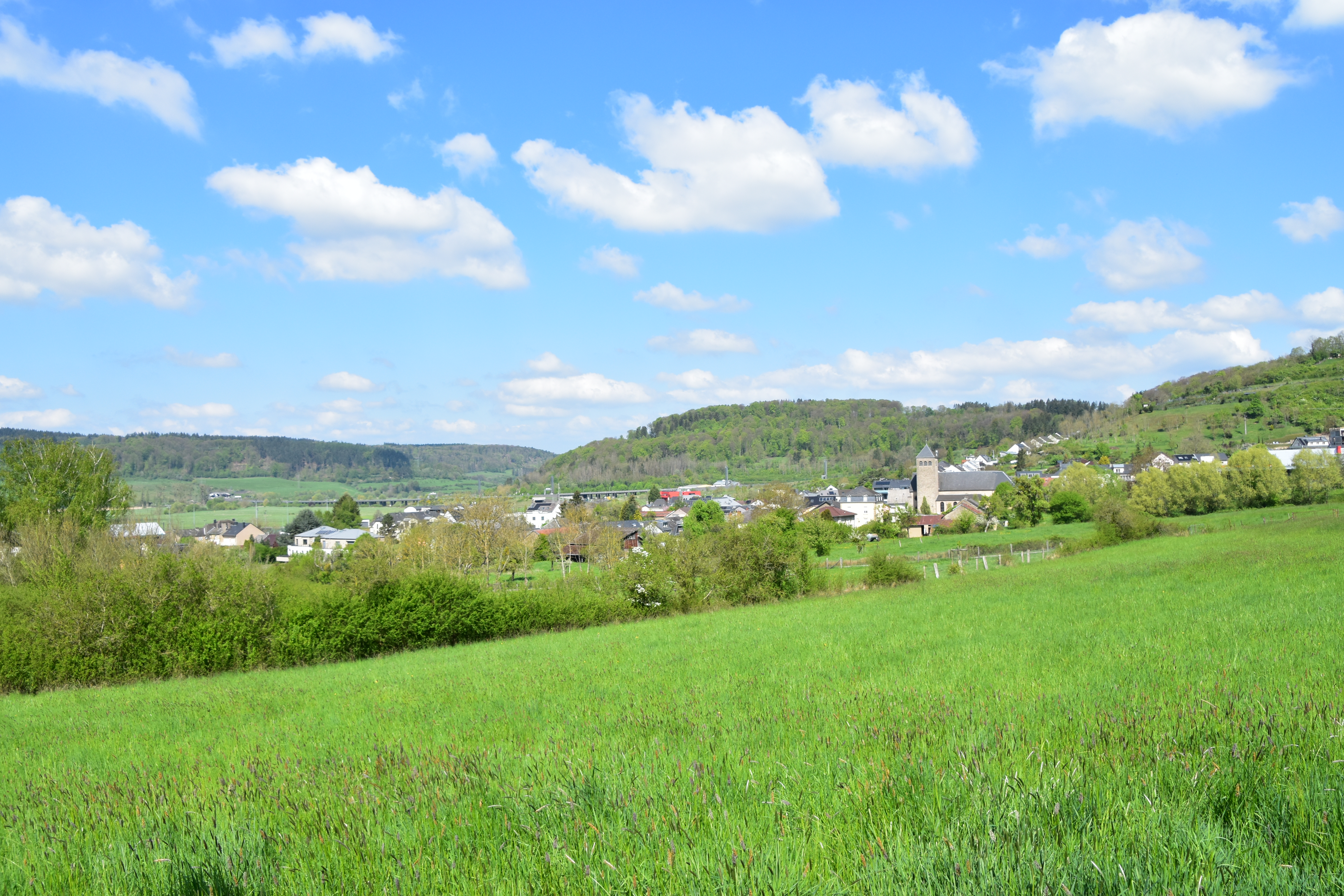 Living in Lorentzweiler: between preserved nature and quick access to ...